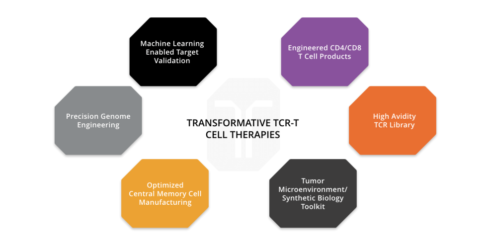 Science | Affini-T Therapeutics