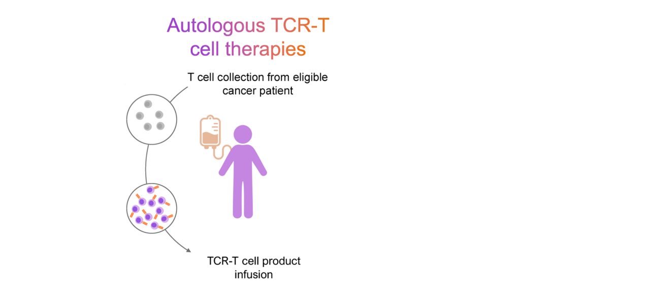 Affini-T Therapeutics | Unlocking the power of T cells
